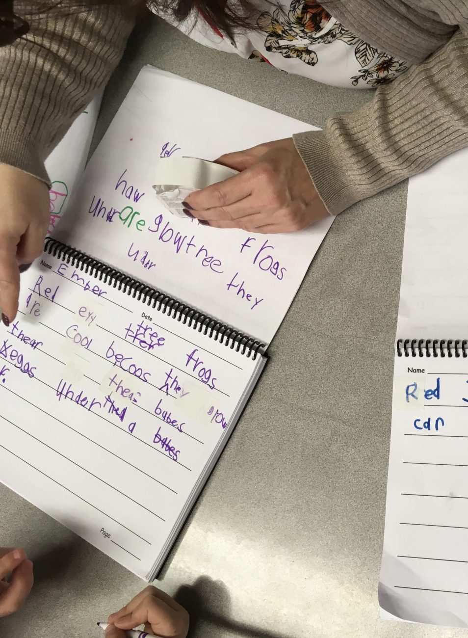 Comprehensive Literacy Series – Rich Literacy